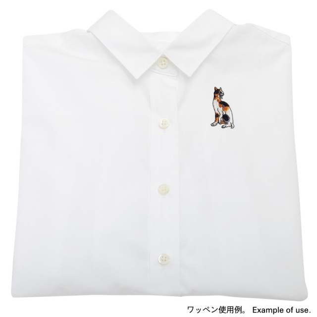 KYWS-227／ワッペン／掛川／【ゆうパケット可】 京東都