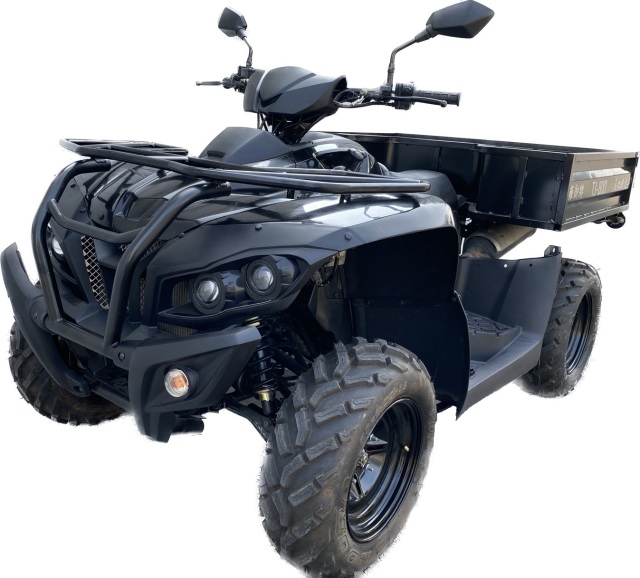 アクセスモーター TJ800-UL6 ACCESS MOTOR ｜ロフトジャパン