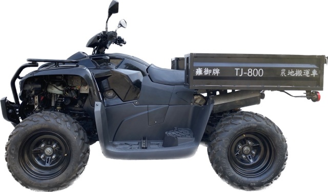 アクセスモーター TJ800-UL6 ACCESS MOTOR ｜ロフトジャパン