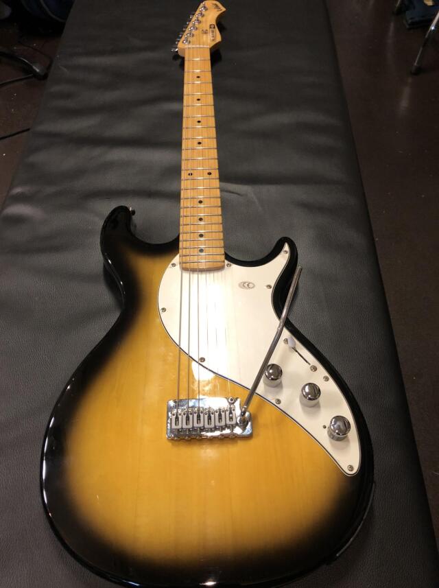 LINE 6 Variax 600