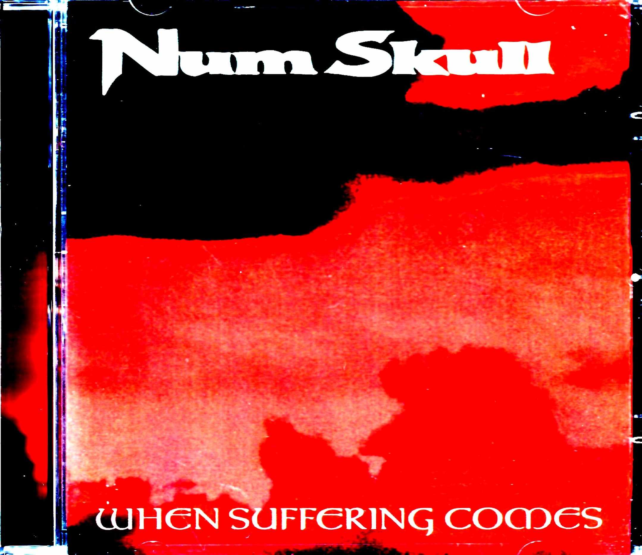 Num Skull ナム・スカル/When Suffering Comes