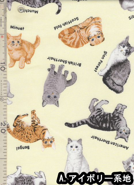 FUWARI・染布 シリーズ 1m単位切り売り オックス プリント 世界の猫たち大集合 4色あります 猫 猫柄 ねこ ねこ柄 ネコ ネコ柄 北欧 北欧柄 北欧調 北欧調柄