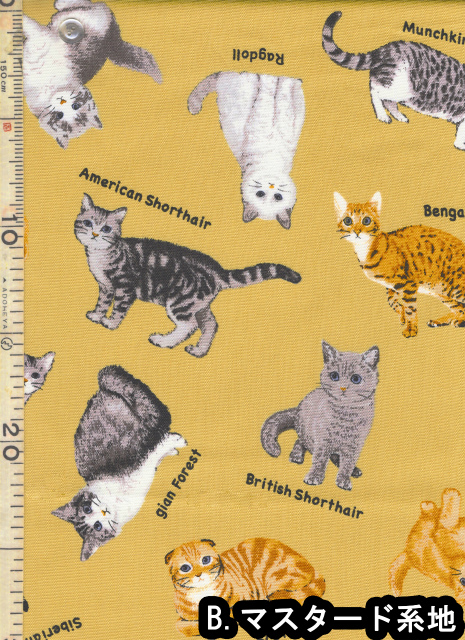 FUWARI・染布 シリーズ 1m単位切り売り オックス プリント 世界の猫たち大集合 4色あります 猫 猫柄 ねこ ねこ柄 ネコ ネコ柄 北欧 北欧柄 北欧調 北欧調柄