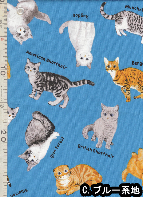 FUWARI・染布 シリーズ 1m単位切り売り オックス プリント 世界の猫たち大集合 4色あります 猫 猫柄 ねこ ねこ柄 ネコ ネコ柄 北欧 北欧柄 北欧調 北欧調柄