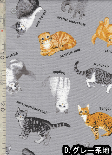 FUWARI・染布 シリーズ 1m単位切り売り オックス プリント 世界の猫たち大集合 4色あります 猫 猫柄 ねこ ねこ柄 ネコ ネコ柄 北欧 北欧柄 北欧調 北欧調柄