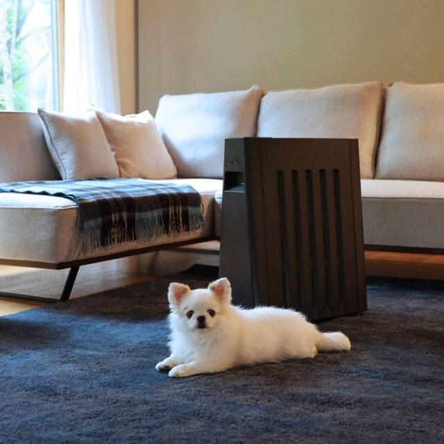 ユーレックス ヘリテイジヒーター