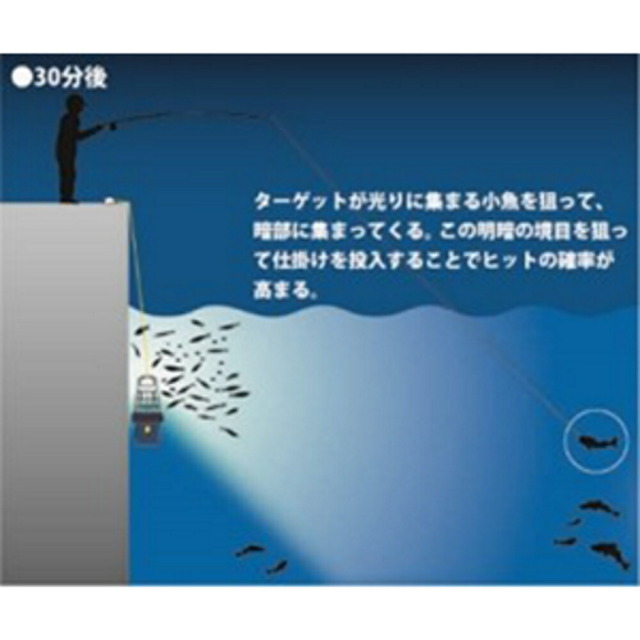 Hapyson YF-501 乾電池式高輝度LED水中集魚灯(hapyson-192911) おり釣具 本店