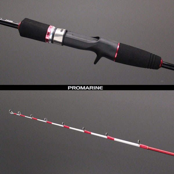 プロマリン (PROMARINE) 極仙カワハギ 180M (hd-245836) ※ おり釣具 本店