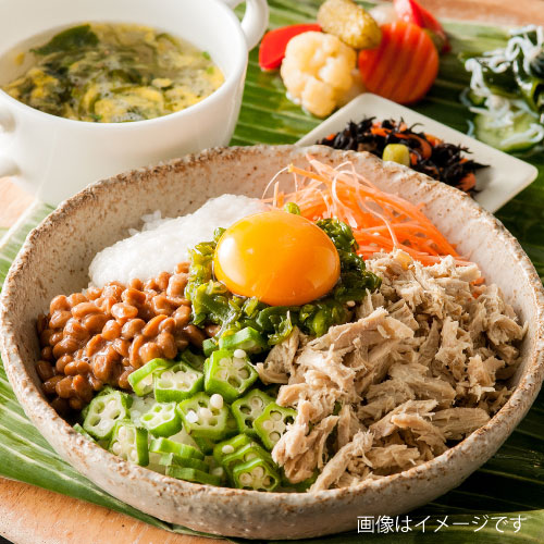 FISH PROTEIN BAR meZAme -メザメ- プレーン味 50g×10P入