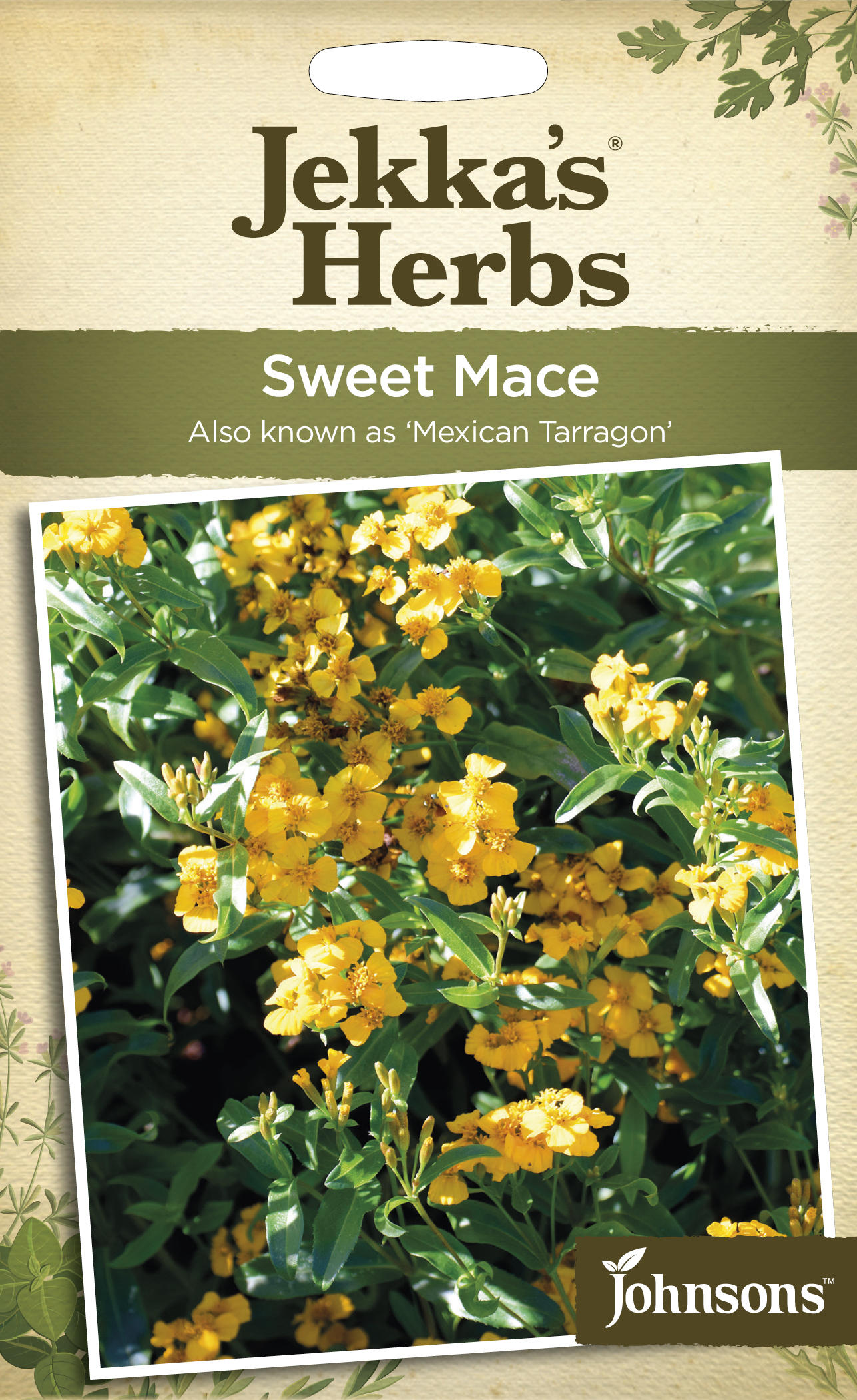 【種子】Johnsons Seeds Jekka's Herbs Sweet Mace ジェッカズ・ハーブス スウィート・メイス ジョンソンズシード