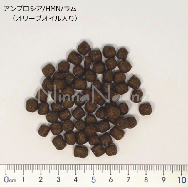 アンブロシア/【DOG】/HMN/ラム（オリーブオイル入り）/1.5kg｜ドッグフード｜ニンナナンナ｜プレミアム・ナチュラルフード専門店｜