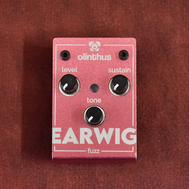 Olinthus/EARWIG【在庫あり】