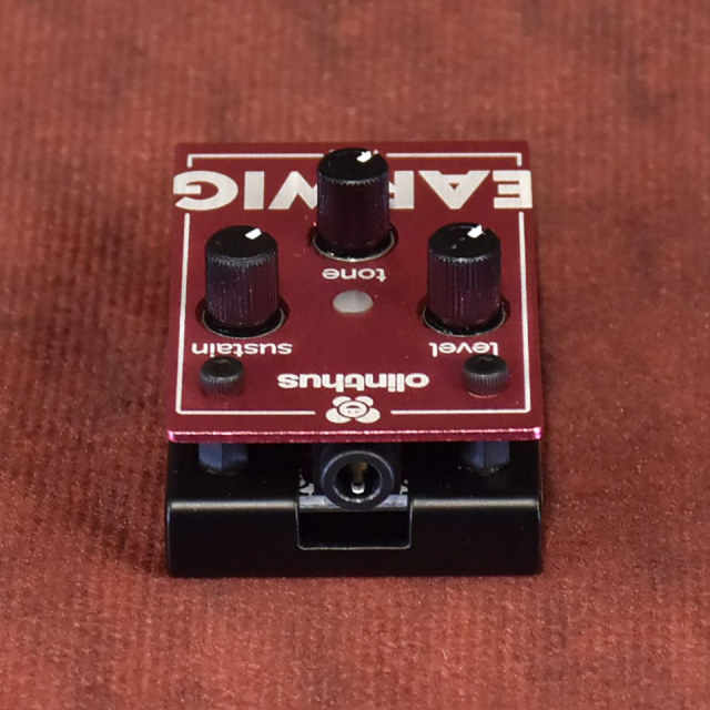 Olinthus/EARWIG【在庫あり】