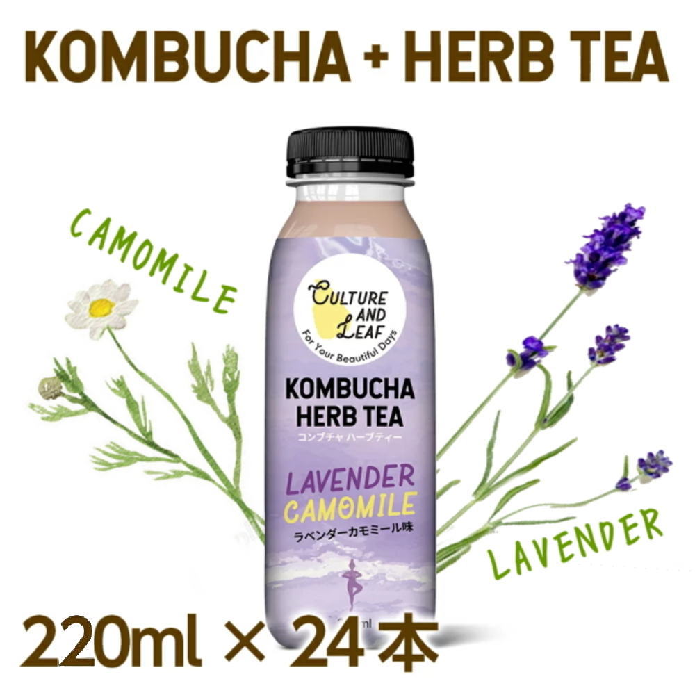 【お得なケース販売】Kombucha HerbTea (発酵ドリンク＋ハーブティー) ラベンダーカモミール味[220ml×24本] Culture & Leaf コンブチャ【冷蔵便】