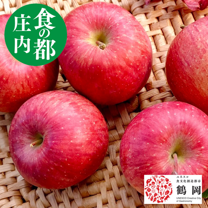 ふじりんご L14〜18玉 5kg 山形県庄内産 林檎 リンゴ 果物 フルーツ 食の都庄内