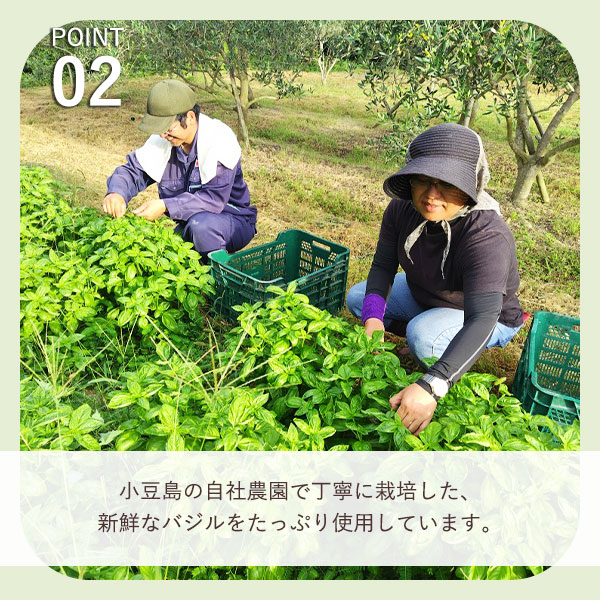 【数量限定】ガーリック＆バジルオリーブオイル 83g 東洋オリーブショップ