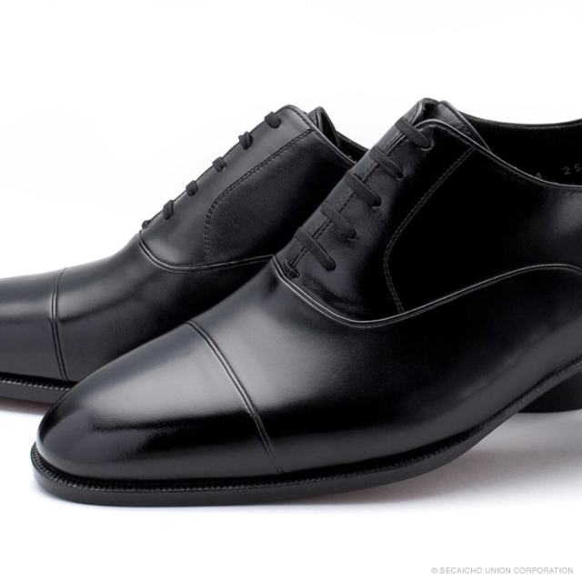 Marelli Basic -マレリー・ベーシック- ： No.75343