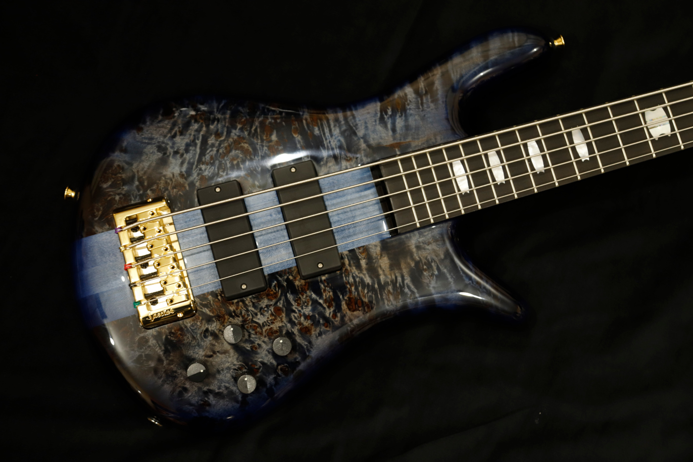 SPECTOR EURO5LT/BLUE FADE [POPLAR BURL TOP]