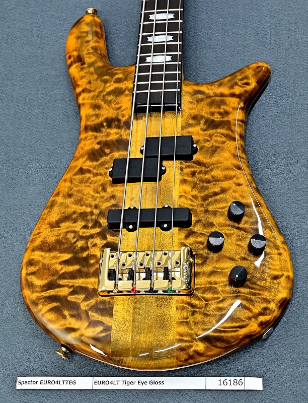 SPECTOR EURO5LT/BLUE FADE [POPLAR BURL TOP]