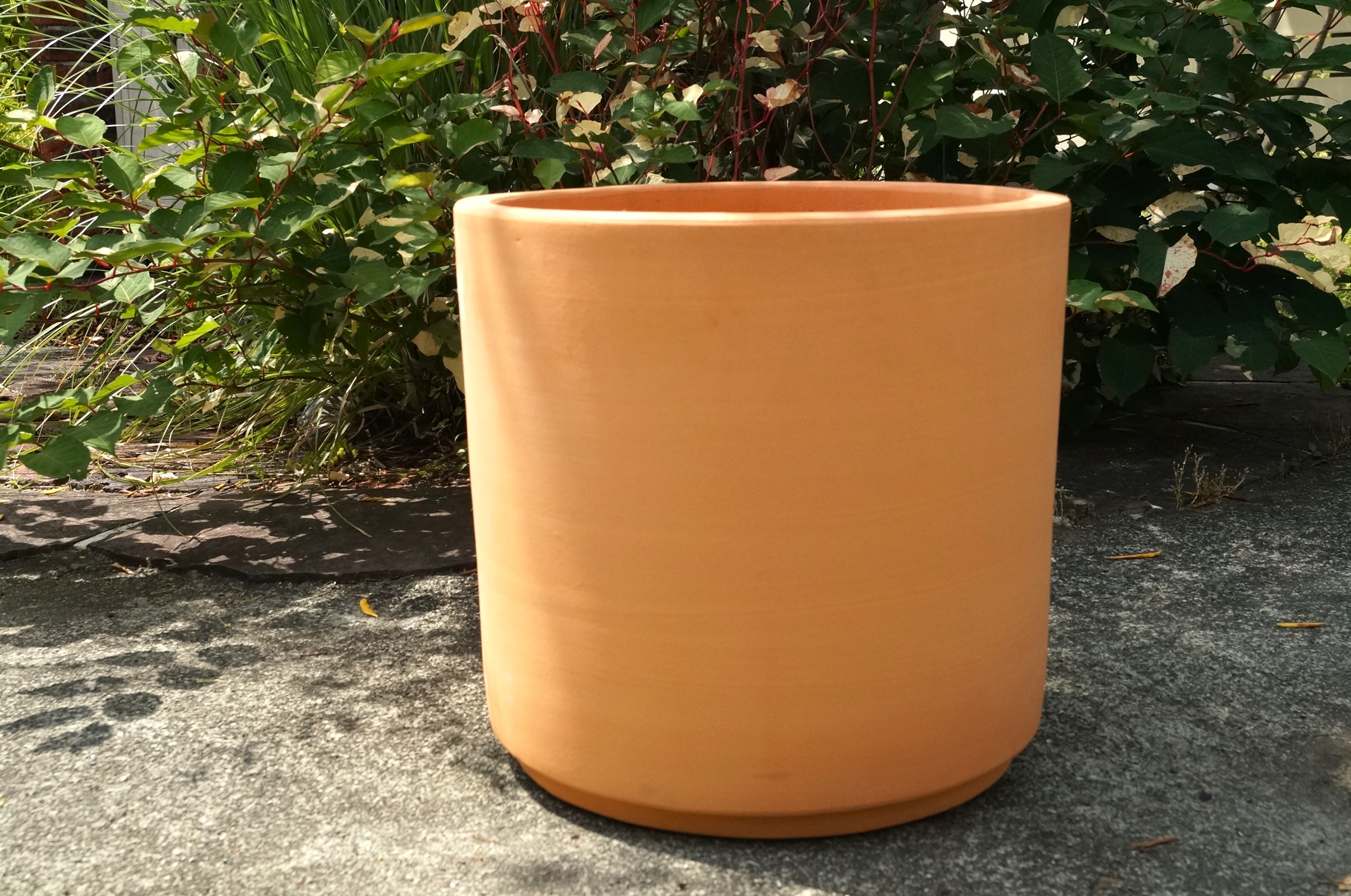 インティシリンダー L 13号 ポット/鉢/サボテン/レモン/オリーブ