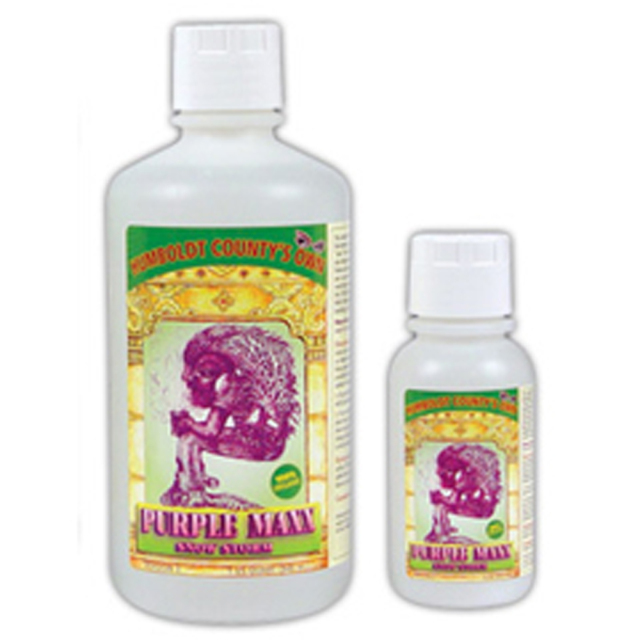 室内で楽しく安全な野菜や果実を自分で栽培