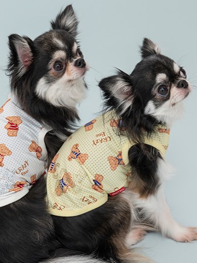 Crazy Boo クマボタンメッシュタンク 【 クレイジーブー 犬服 犬グッズ ドッグウェア かわいい おしゃれ cool クール S/S