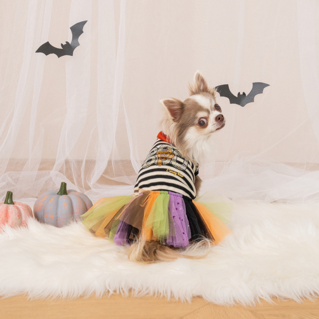 CRAZY BOO の商品一覧